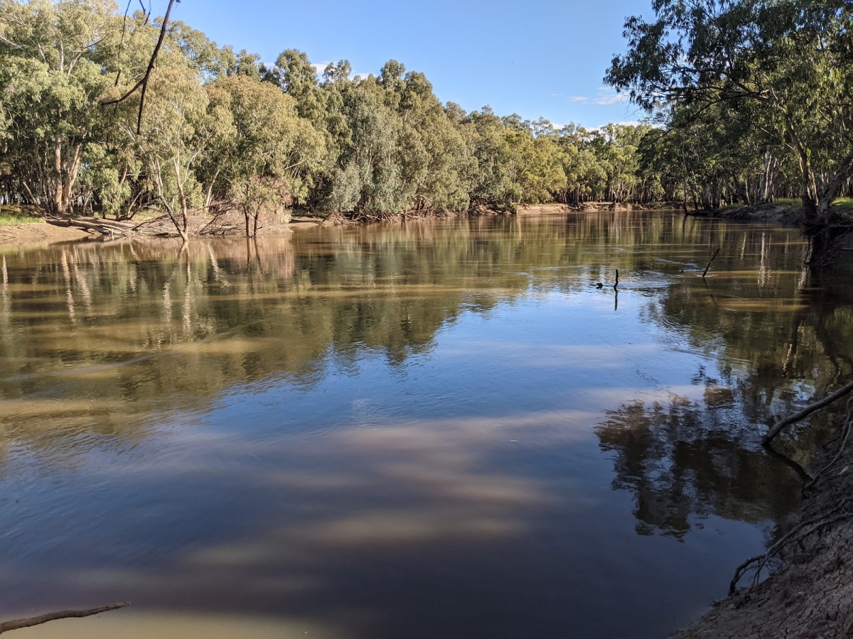 Murrumbidgee River - Narrandera Nature & Trails | localista