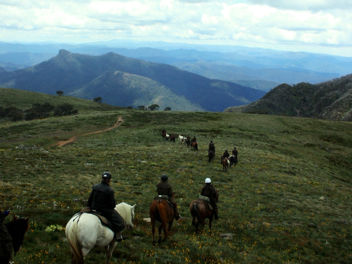 Things To Do In Merrijig (Mansfield) | localista